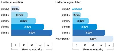 Barbell, Bullet, and Bond Ladder Strategy